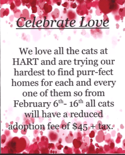 Brainerd Baxter Animal Shelter - Heartland Animal Rescue Team MN